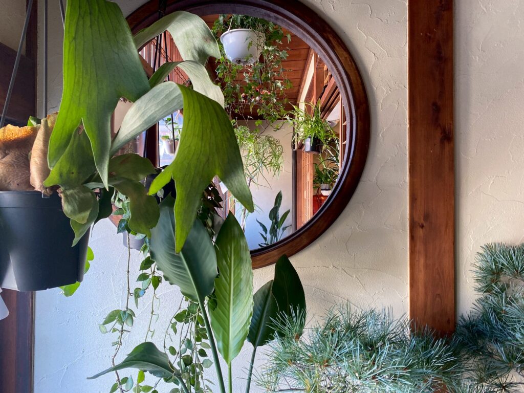 大阪吹田の酵素浴なら古民家torogi 酵素風呂と革カフェ｜カフェ併設の女性専用酵素温浴